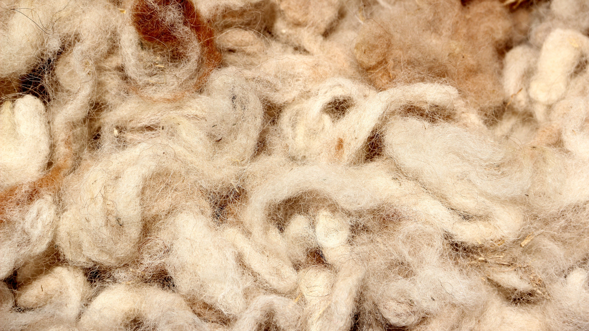 Non-toxic Fabric Guide